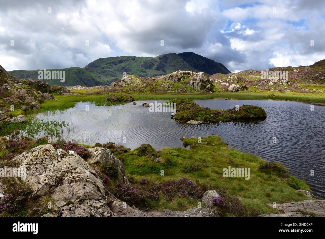 Footpath up to Haystacks summit Stock Photo - Alamy
