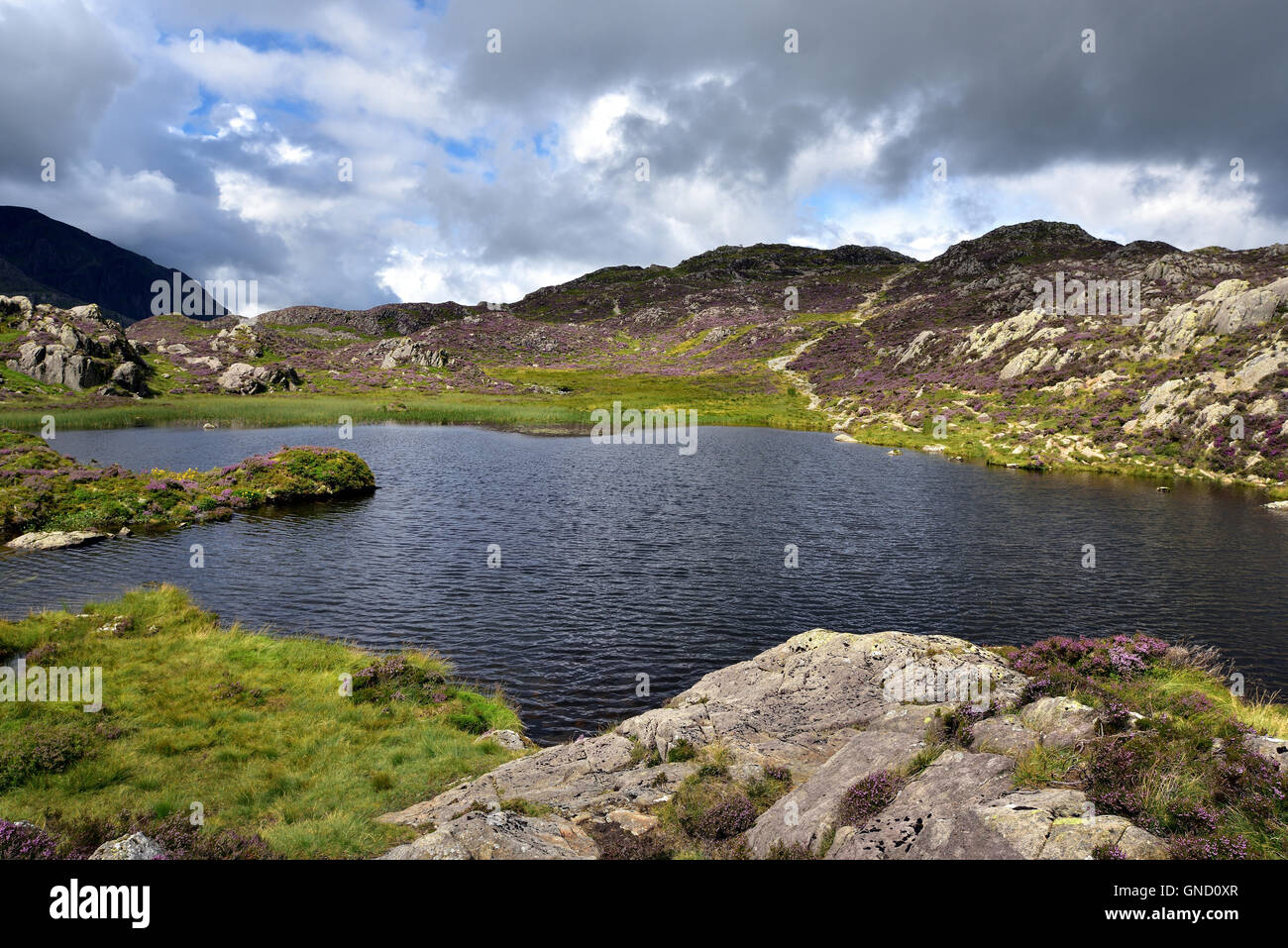 Footpath up to Haystacks summit Stock Photo - Alamy