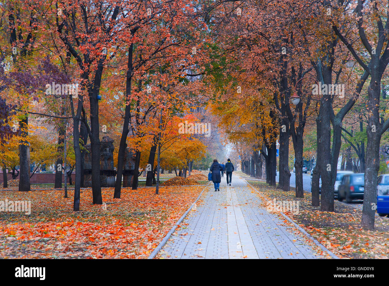 people walk in the autumn park Stock Photo - Alamy