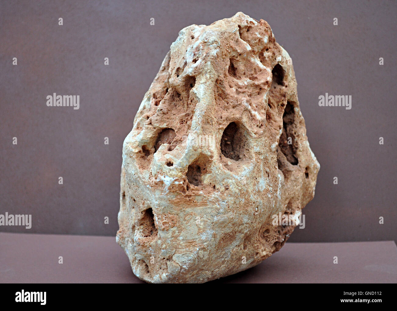stone like an alien skull Stock Photo - Alamy
