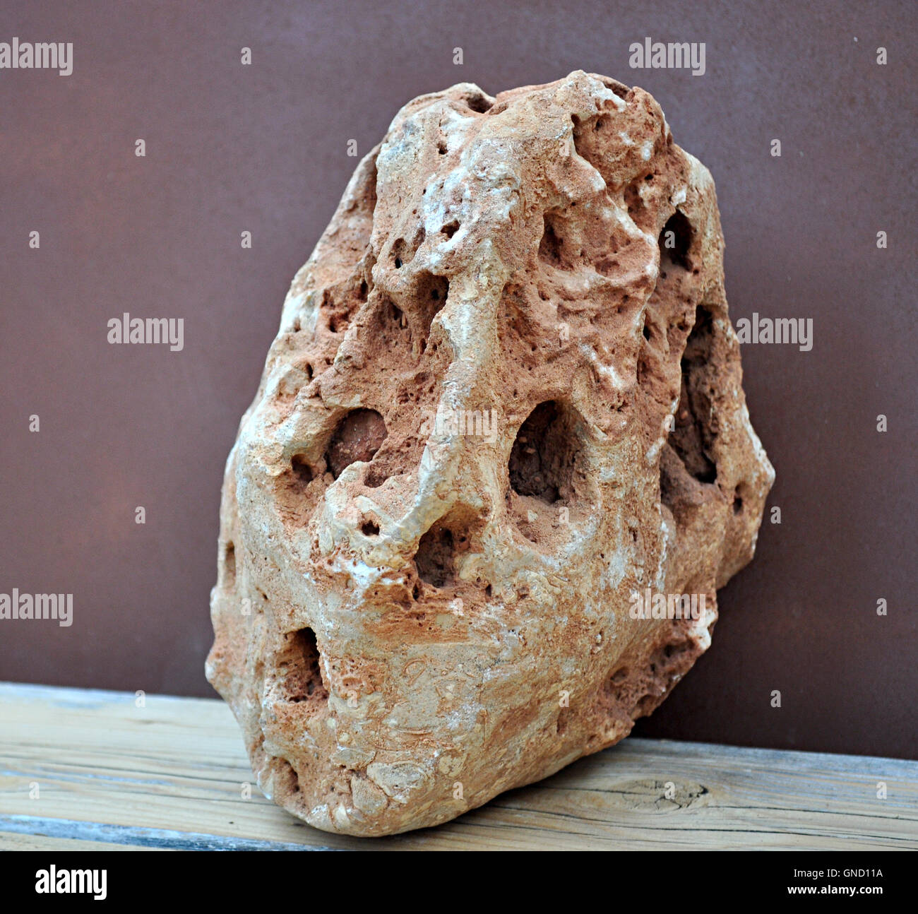 Person with stone like head hi-res stock photography and images - Alamy