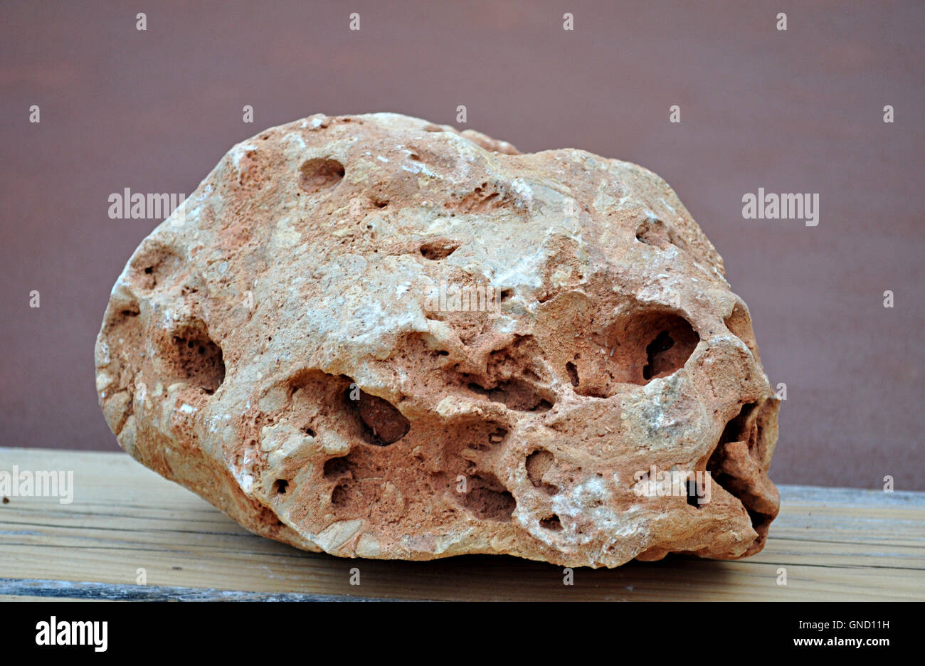 stone like an alien skull Stock Photo - Alamy
