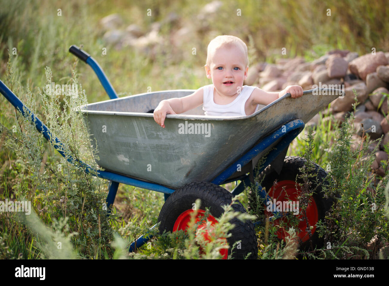 Wheelbarrow ride hi-res stock photography and images - Alamy