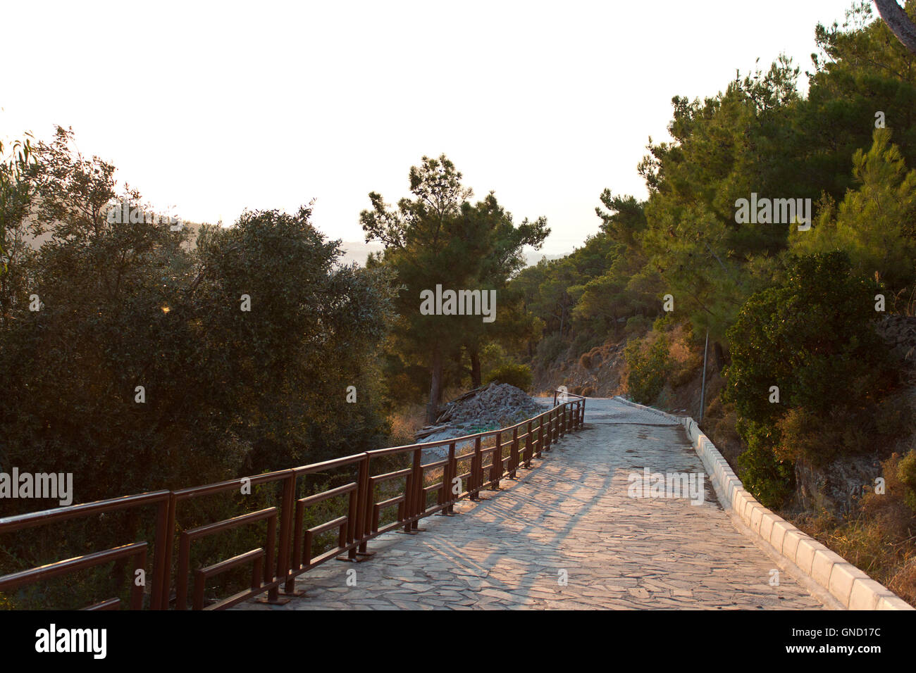 Pathway of Balcova forest sun is shining spring time in izmir ,Turkey ...