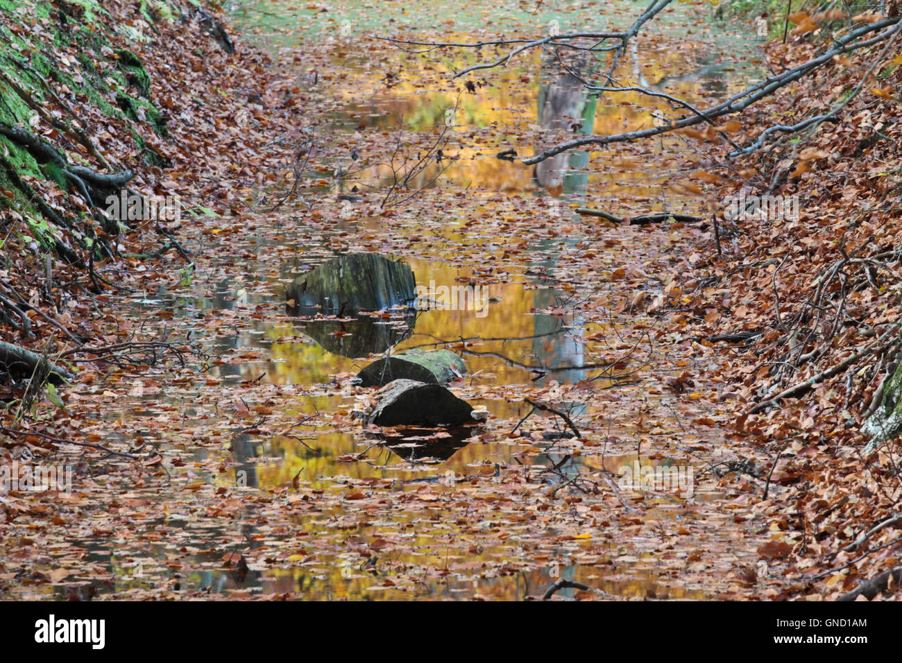 Alleroed hi-res stock photography and images - Alamy