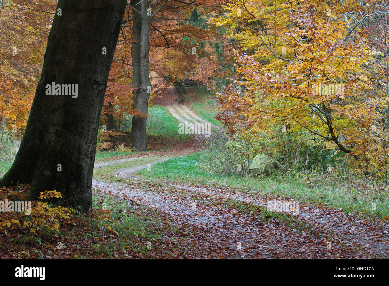 Alleroed hi-res stock photography and images - Alamy