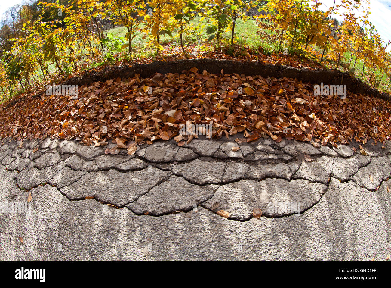 Damaged road in countryside hi-res stock photography and images - Alamy