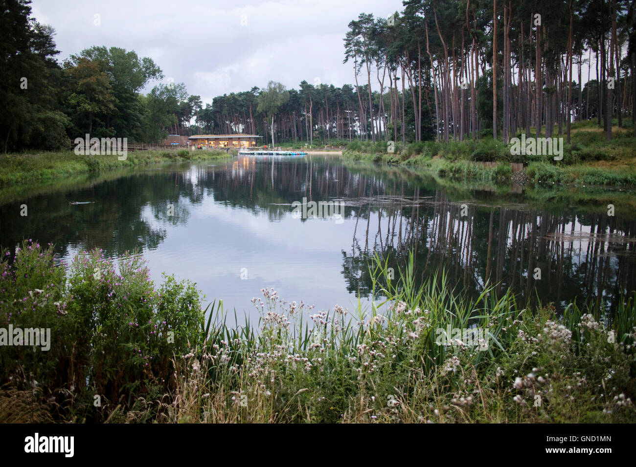 Center Parcs Woburn Forest, the newest holiday village of Center Parcs ...