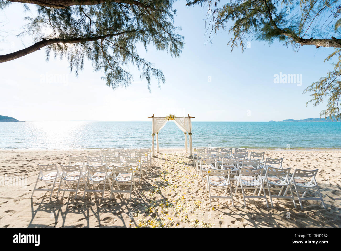 simple style wedding arch and decoration, venue, setup on tropical ...