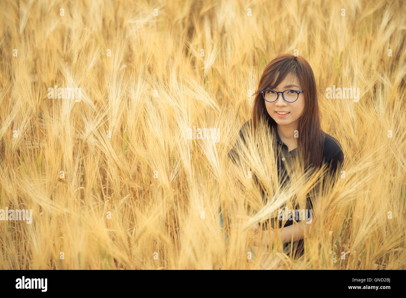 portrait of a beautiful glasses woman in barley field Stock Photo - Alamy