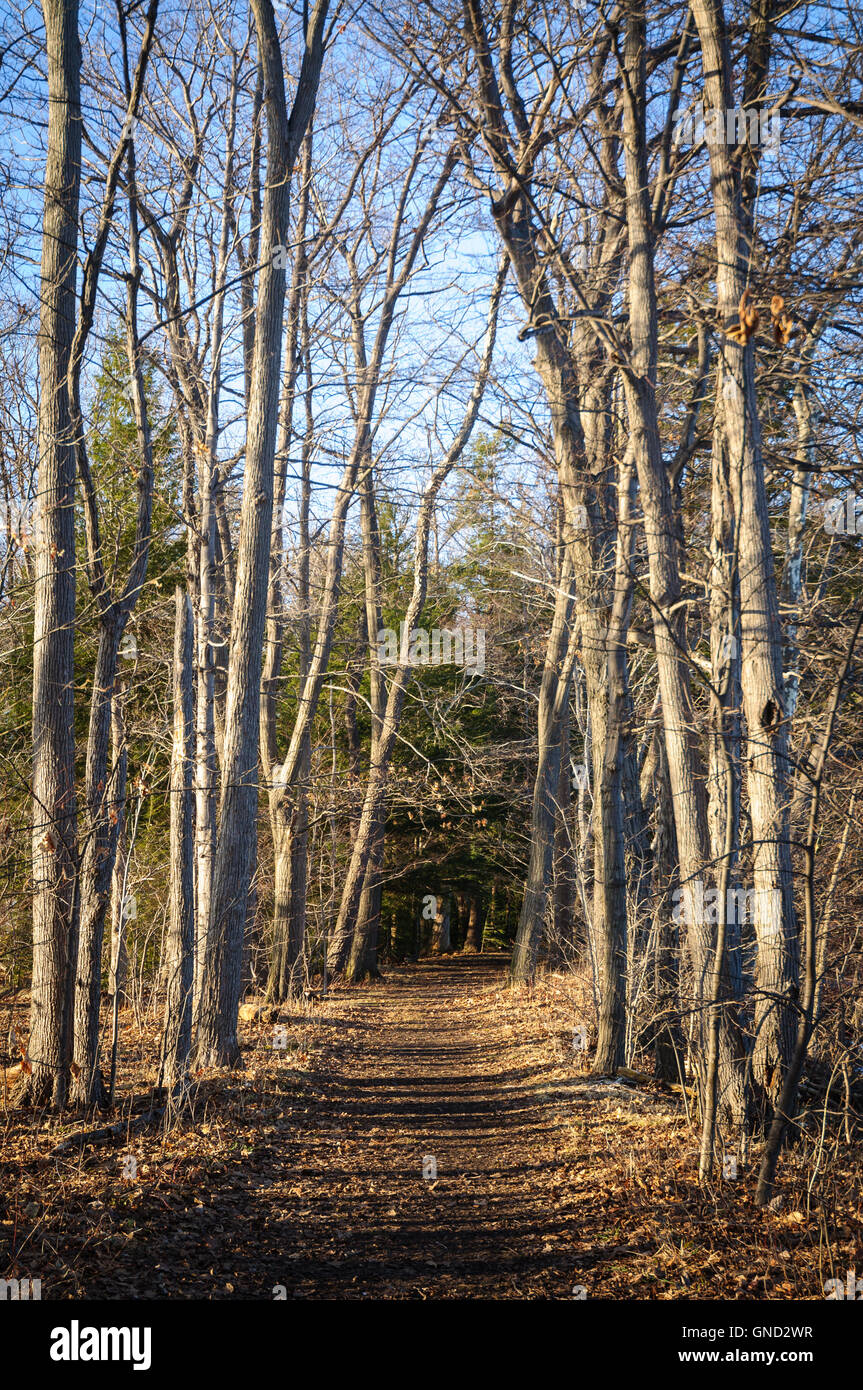 Long Point State Park Stock Photo - Alamy
