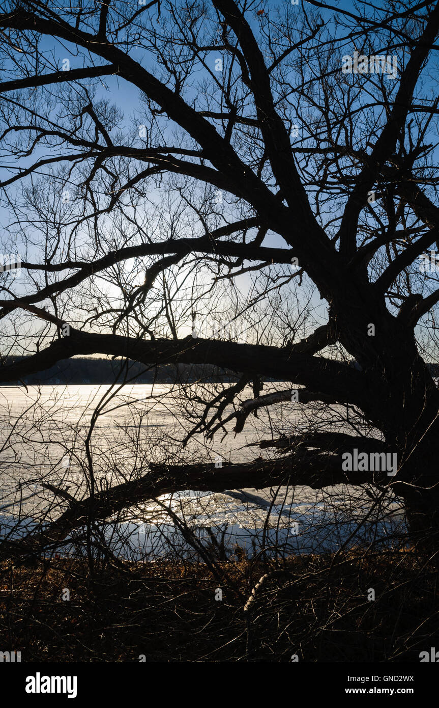 Long Point State Park Stock Photo - Alamy