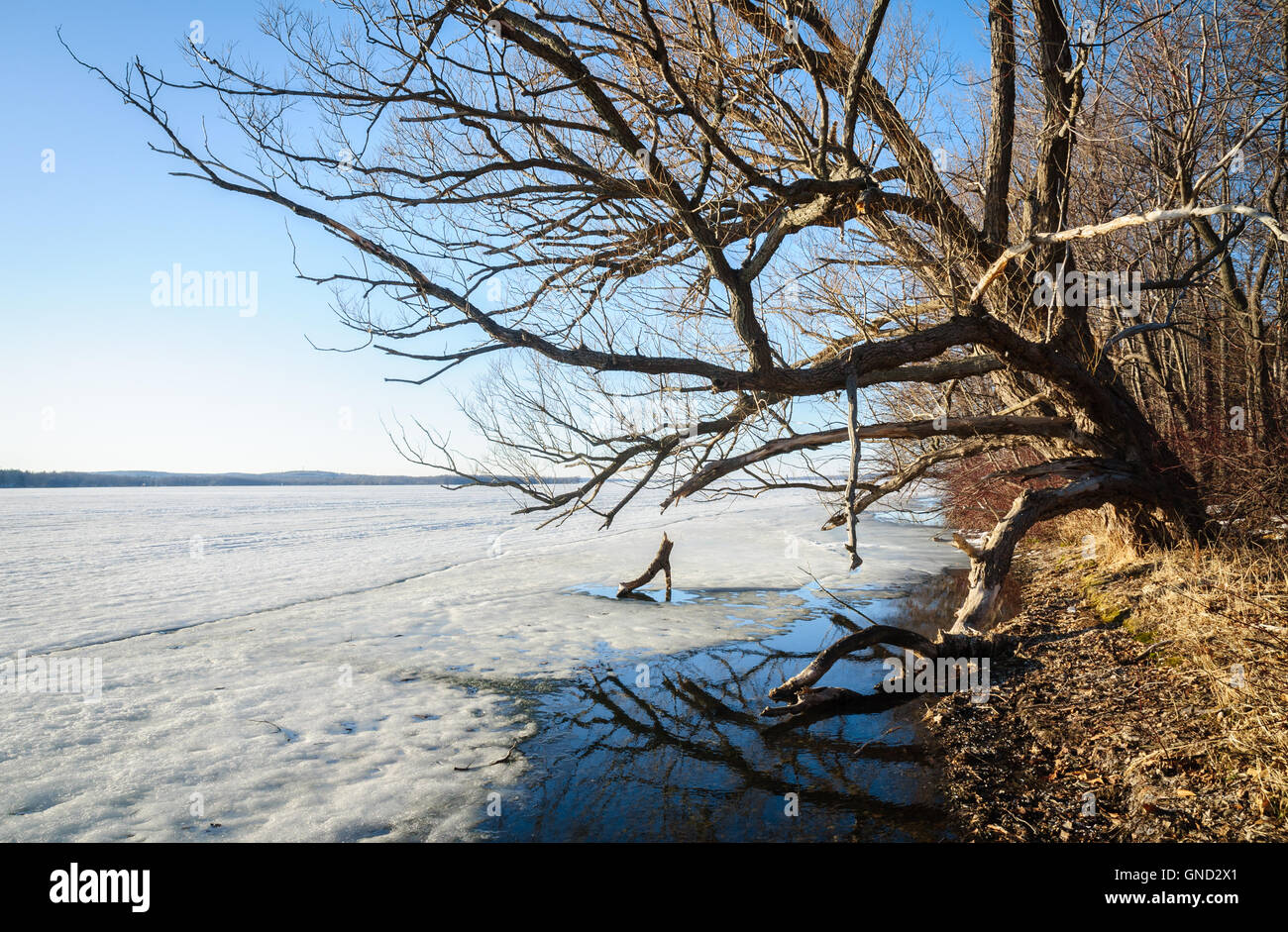 Long Point State Park Stock Photo - Alamy