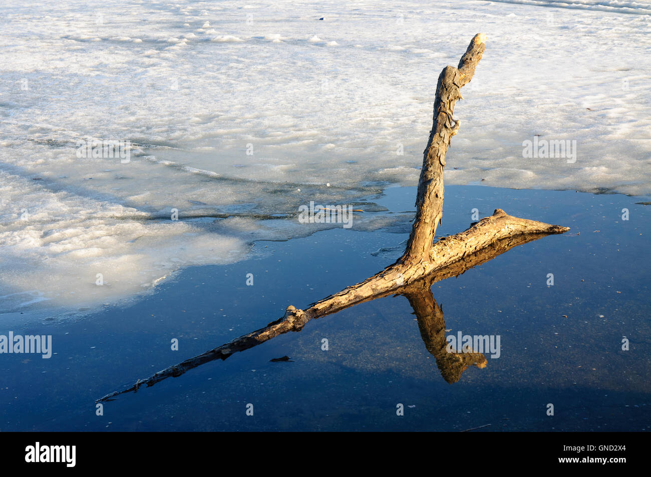 Long Point State Park Stock Photo - Alamy