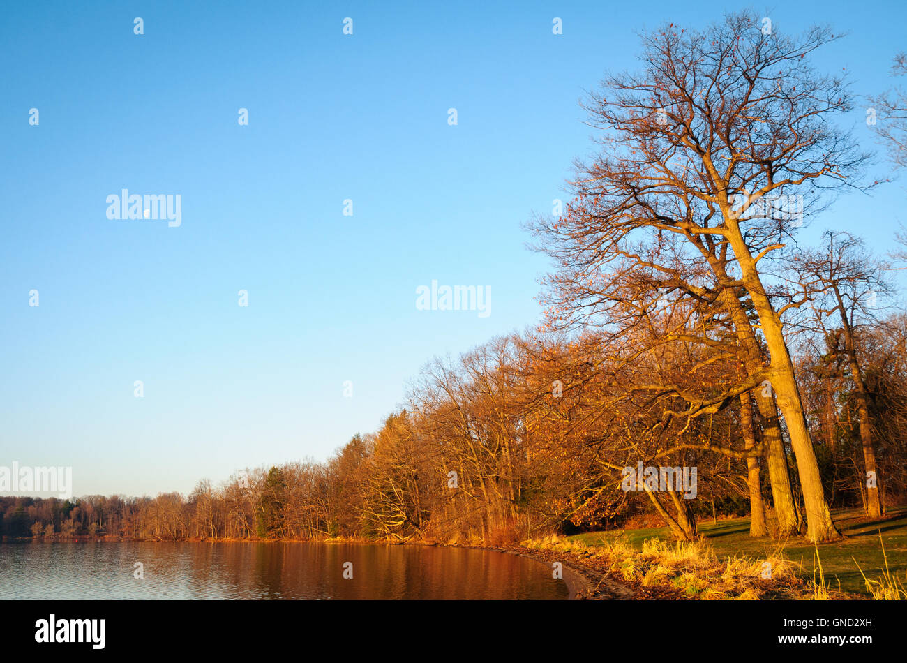 Long Point State Park Stock Photo - Alamy