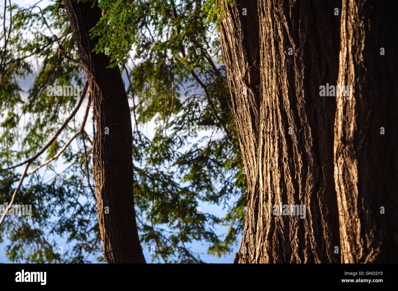 Long Point State Park Stock Photo - Alamy