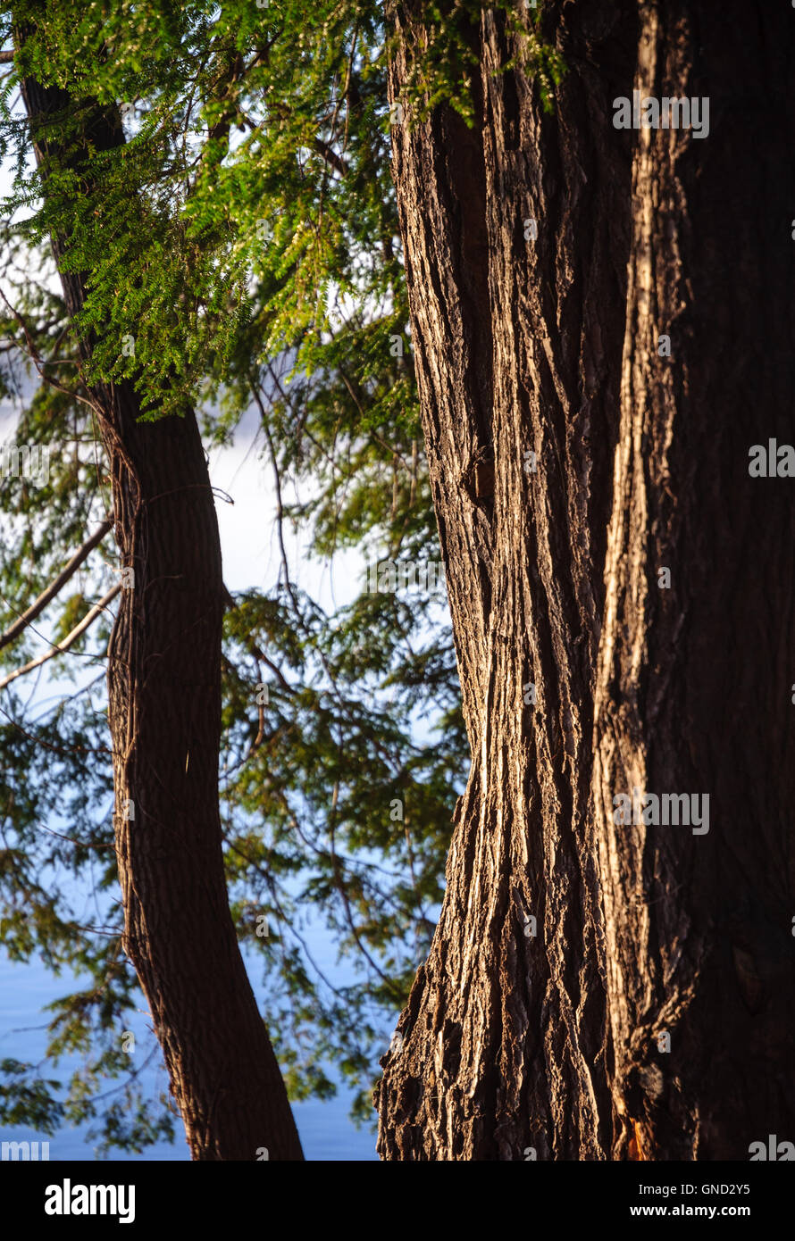 Long Point State Park Stock Photo - Alamy