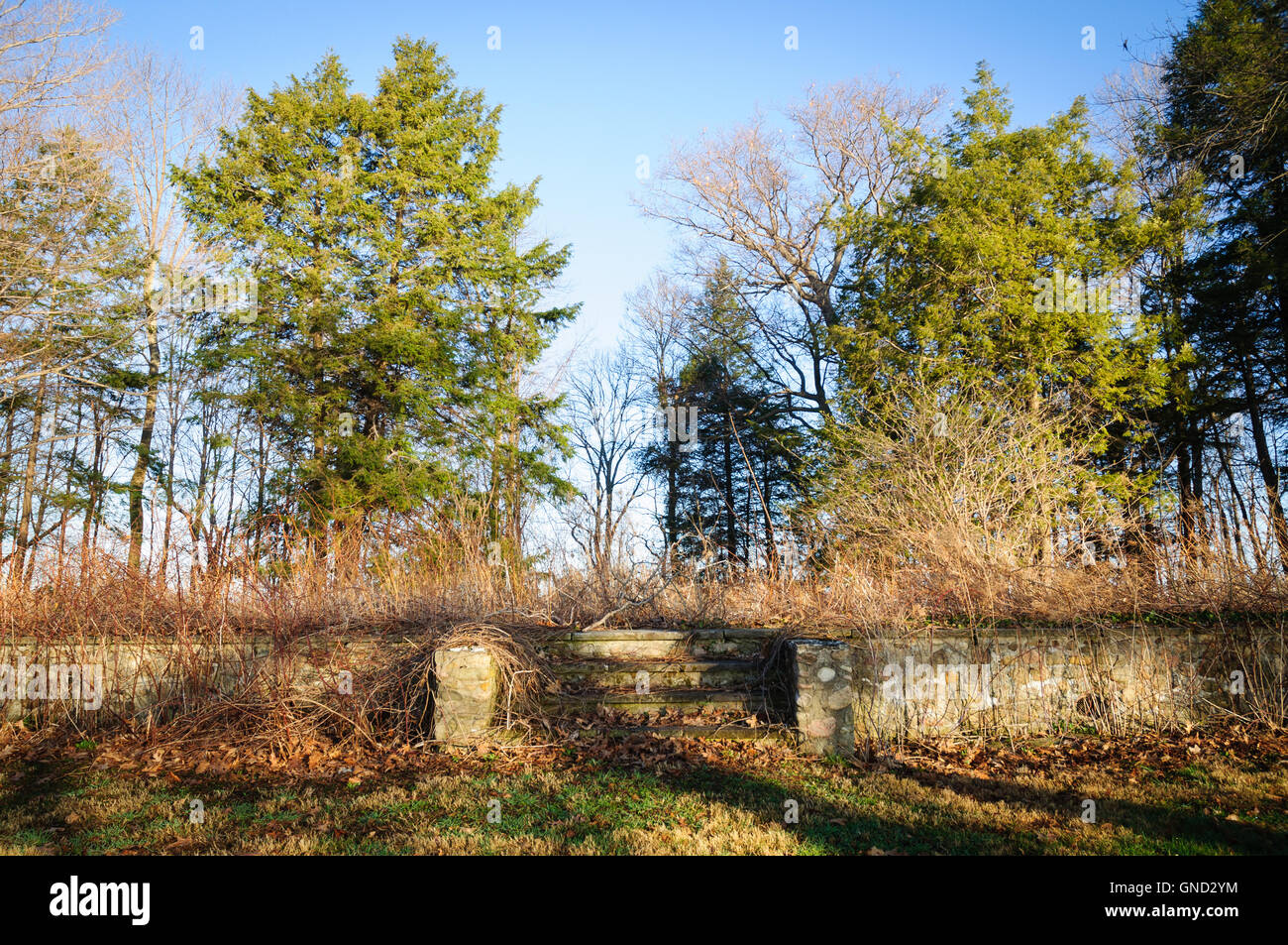 Long Point State Park Stock Photo - Alamy