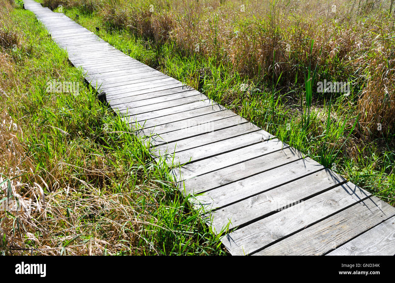 Jamestown Audubon Center and Sanctuary Stock Photo - Alamy