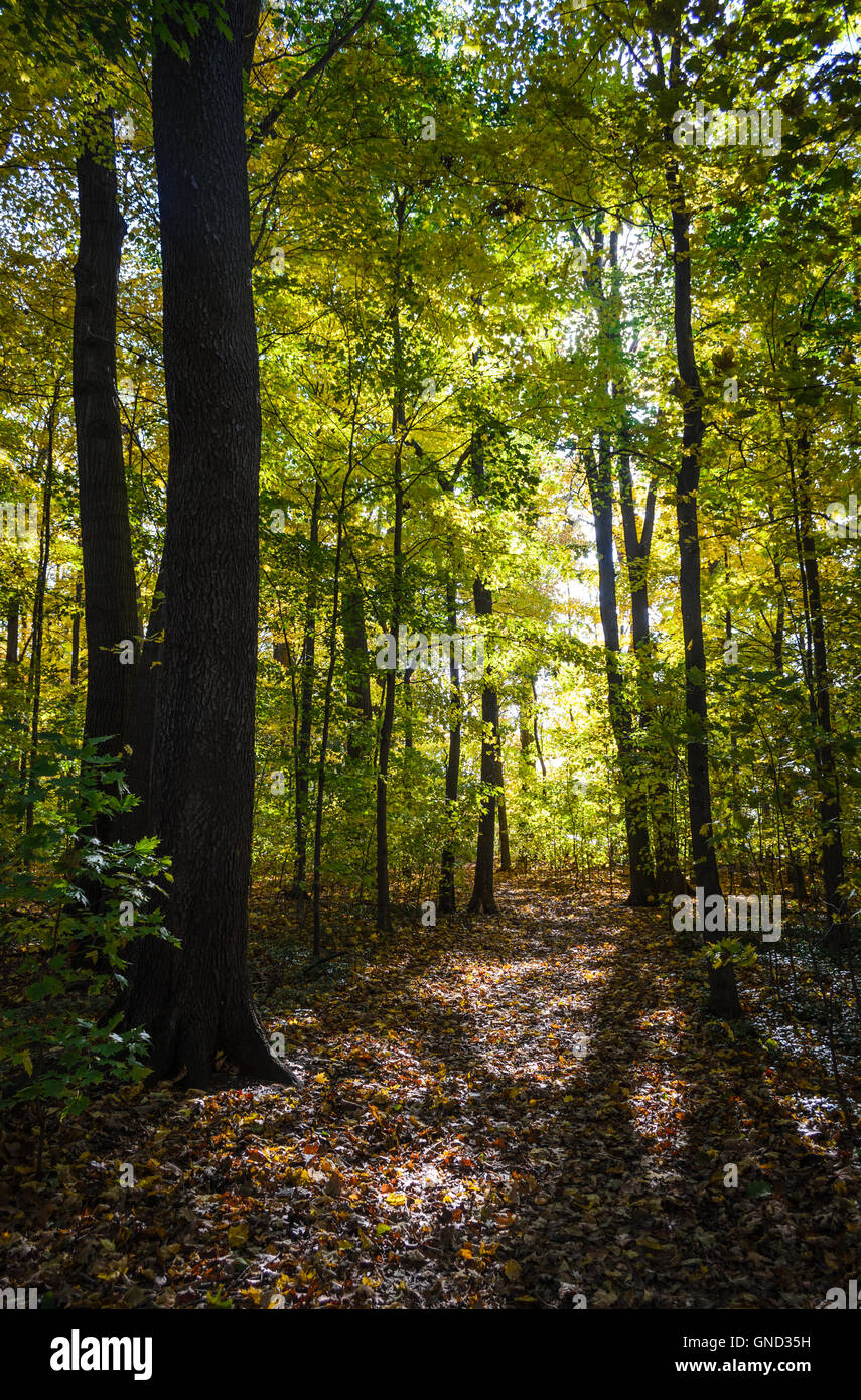 Long Point State Park Stock Photo - Alamy