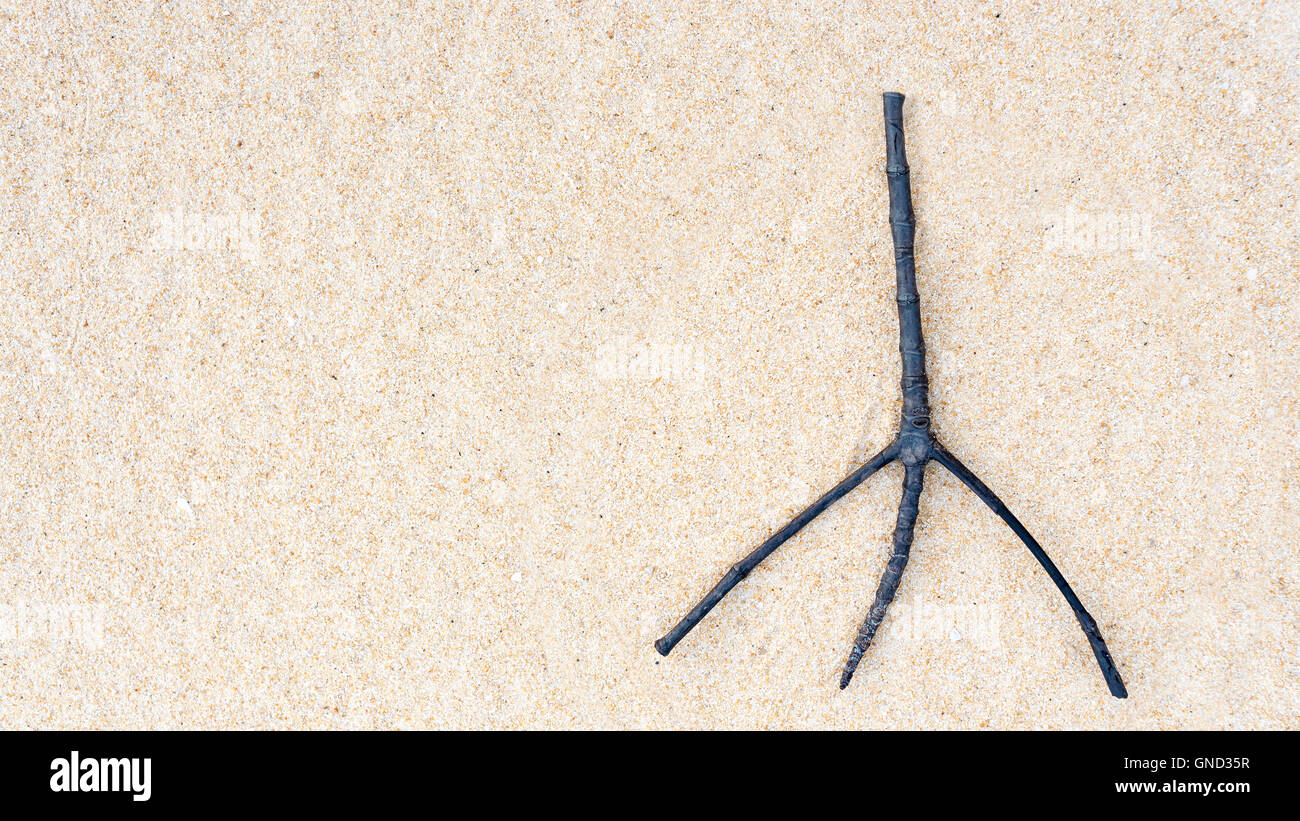 Twig on sand, twig look like Eiffel Tower Stock Photo - Alamy