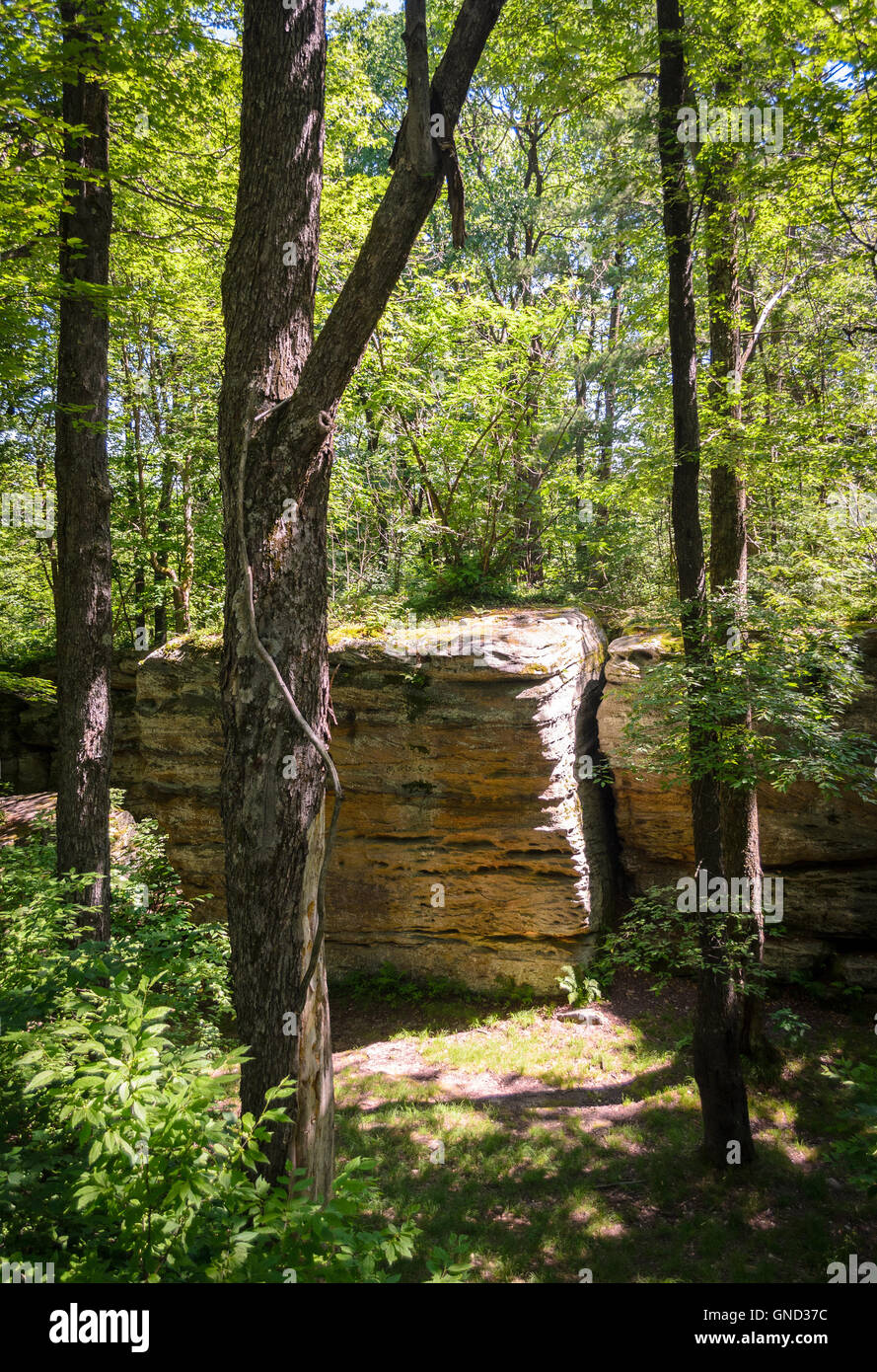 Little Rock City Stock Photo - Alamy