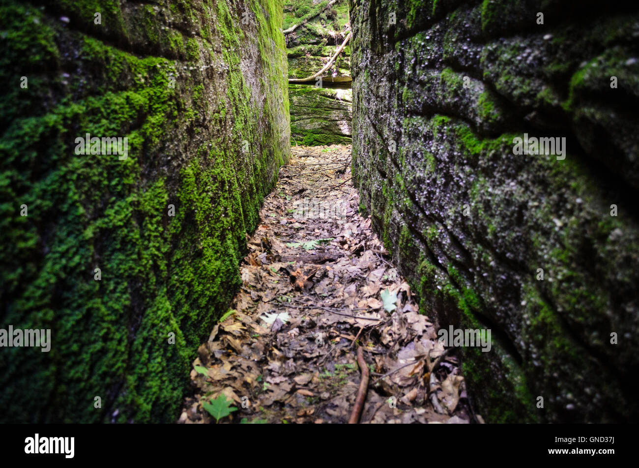 Narrow rock ledge hi-res stock photography and images - Alamy