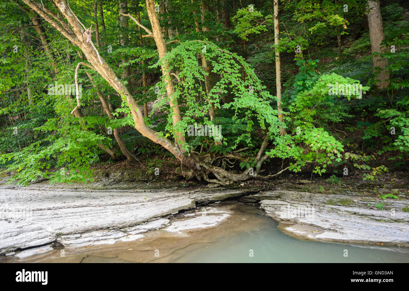 Zoar hi-res stock photography and images - Alamy
