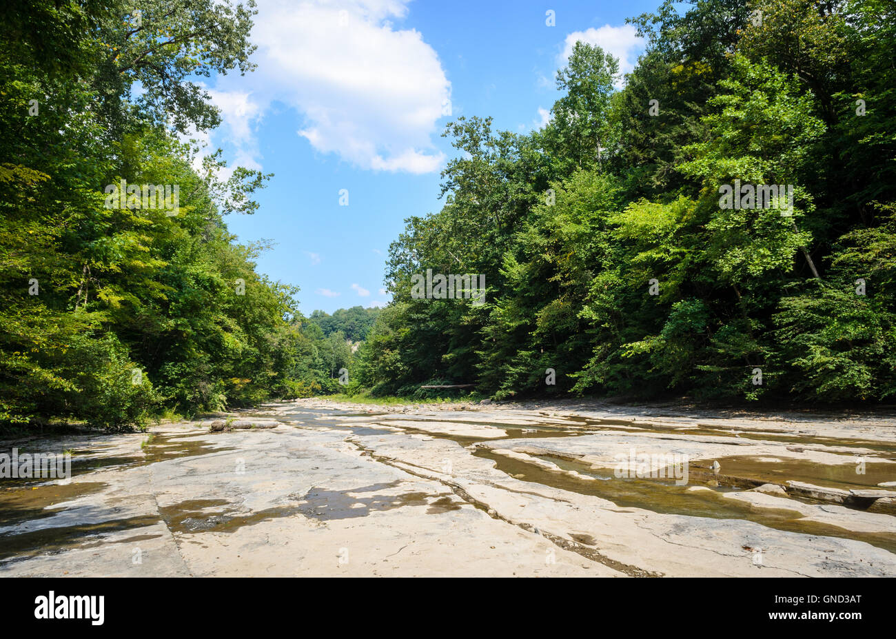 Zoar valley multiple use area hi-res stock photography and images - Alamy