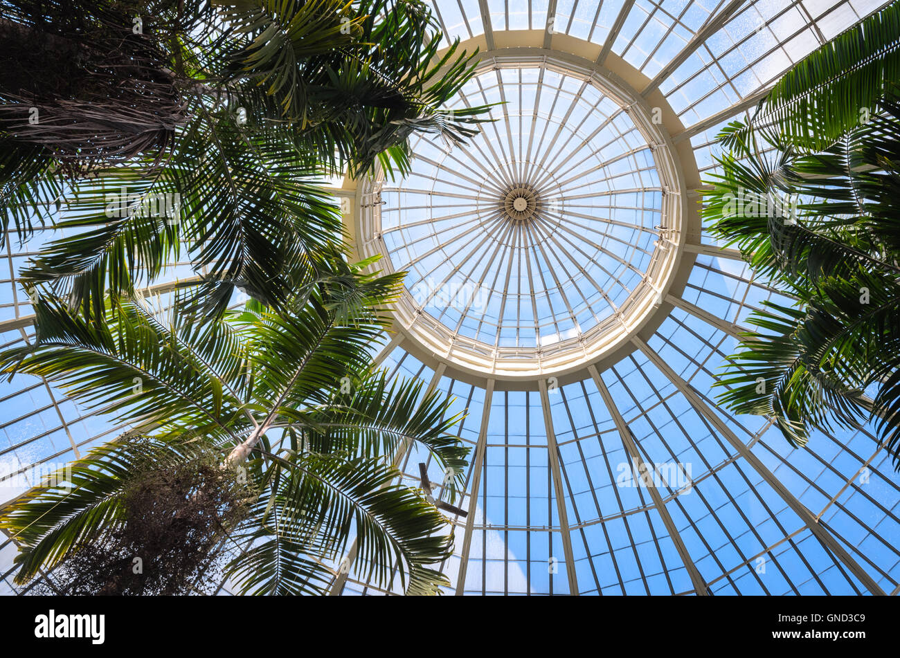 Buffalo and Erie County Botanical Gardens Stock Photo - Alamy