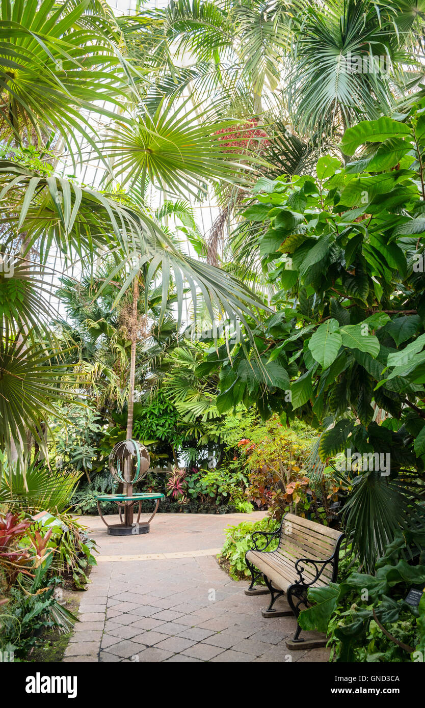 Buffalo erie county botanical gardens hi-res stock photography and ...