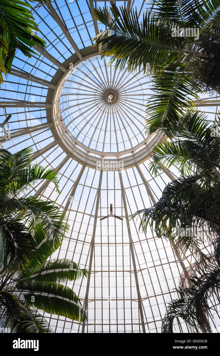 Buffalo and Erie County Botanical Gardens Stock Photo - Alamy