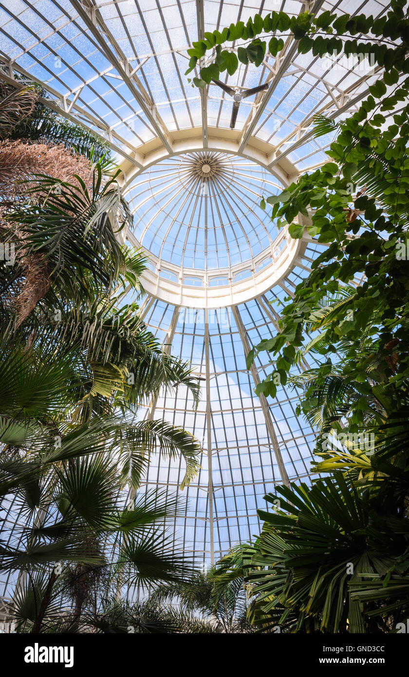 Buffalo and Erie County Botanical Gardens Stock Photo - Alamy
