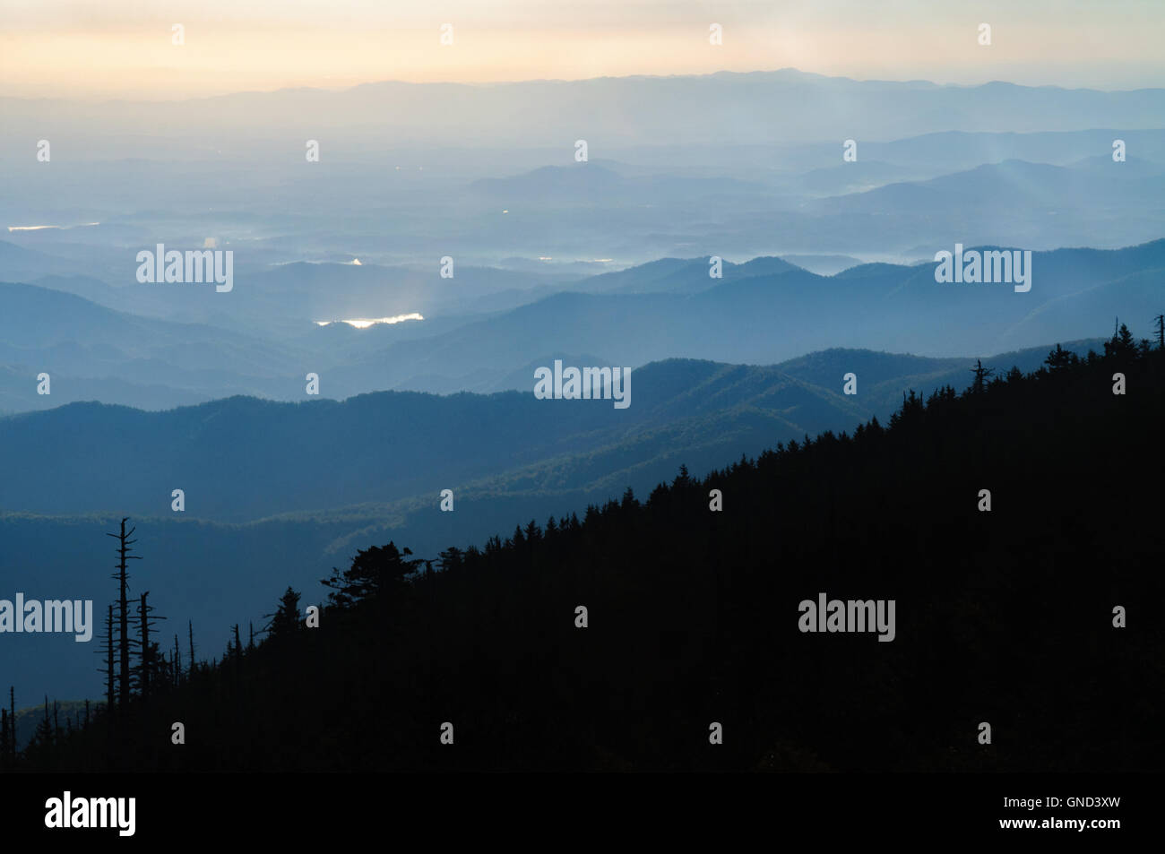 Mount Mitchell State Park Stock Photo - Alamy