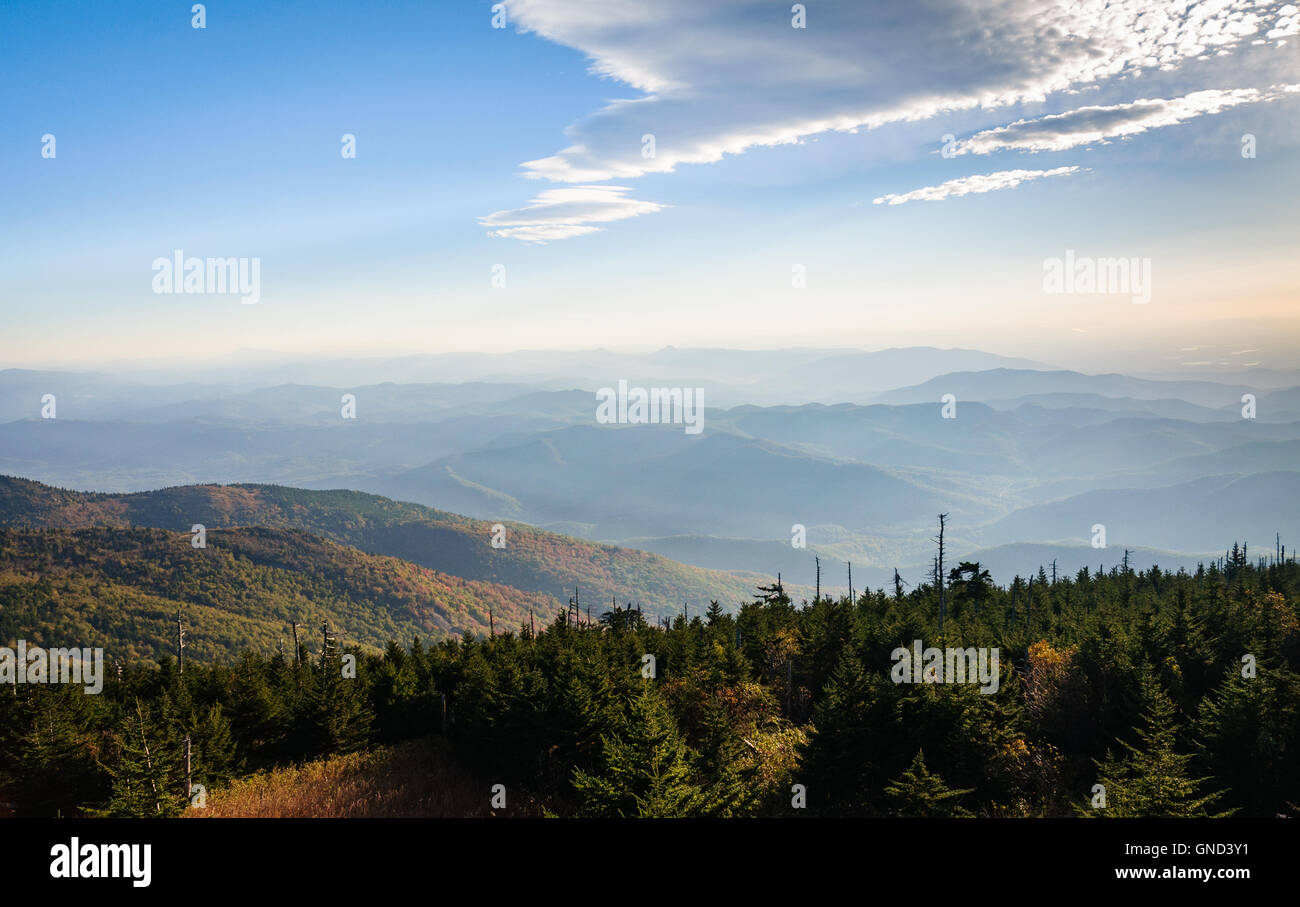 Mount Mitchell State Park Stock Photo - Alamy