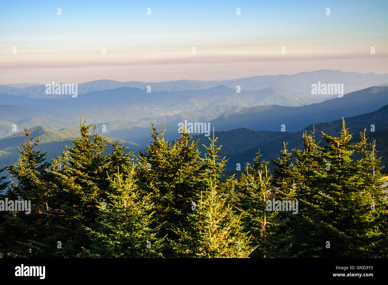 Mount Mitchell State Park Stock Photo - Alamy