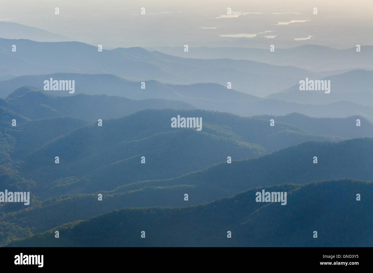 Mount Mitchell State Park Stock Photo - Alamy
