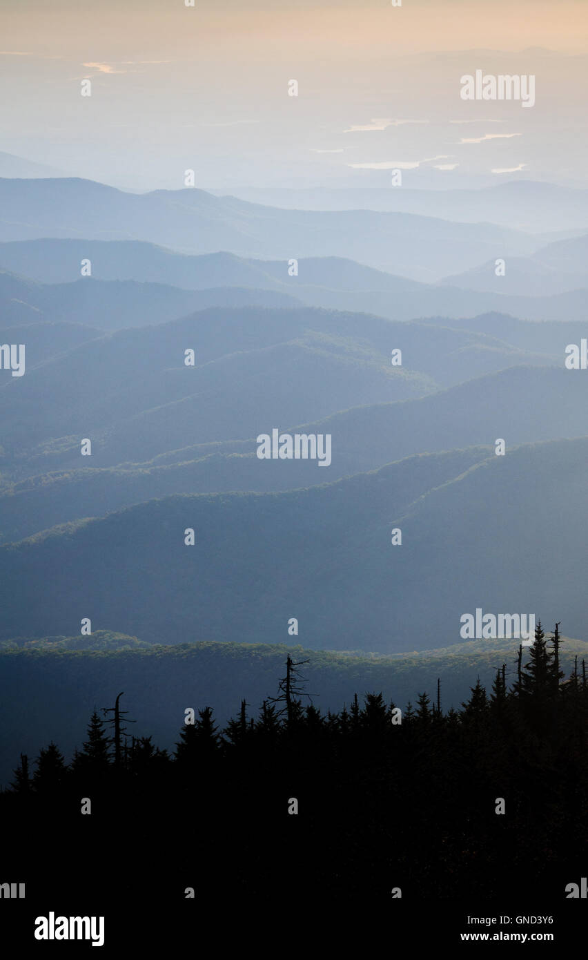 Mount Mitchell State Park Stock Photo - Alamy
