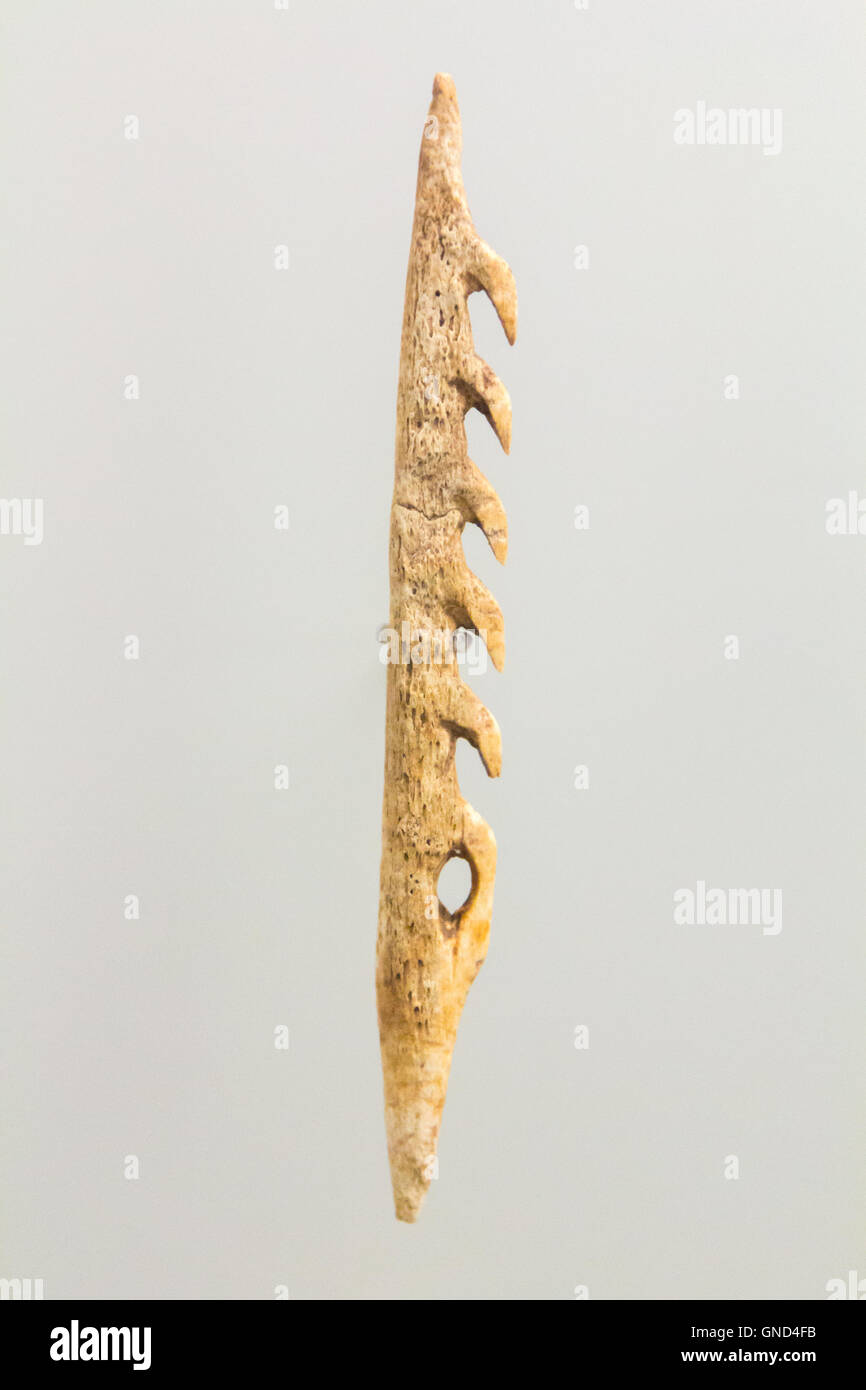 Prehistoric tool bone hi-res stock photography and images - Alamy