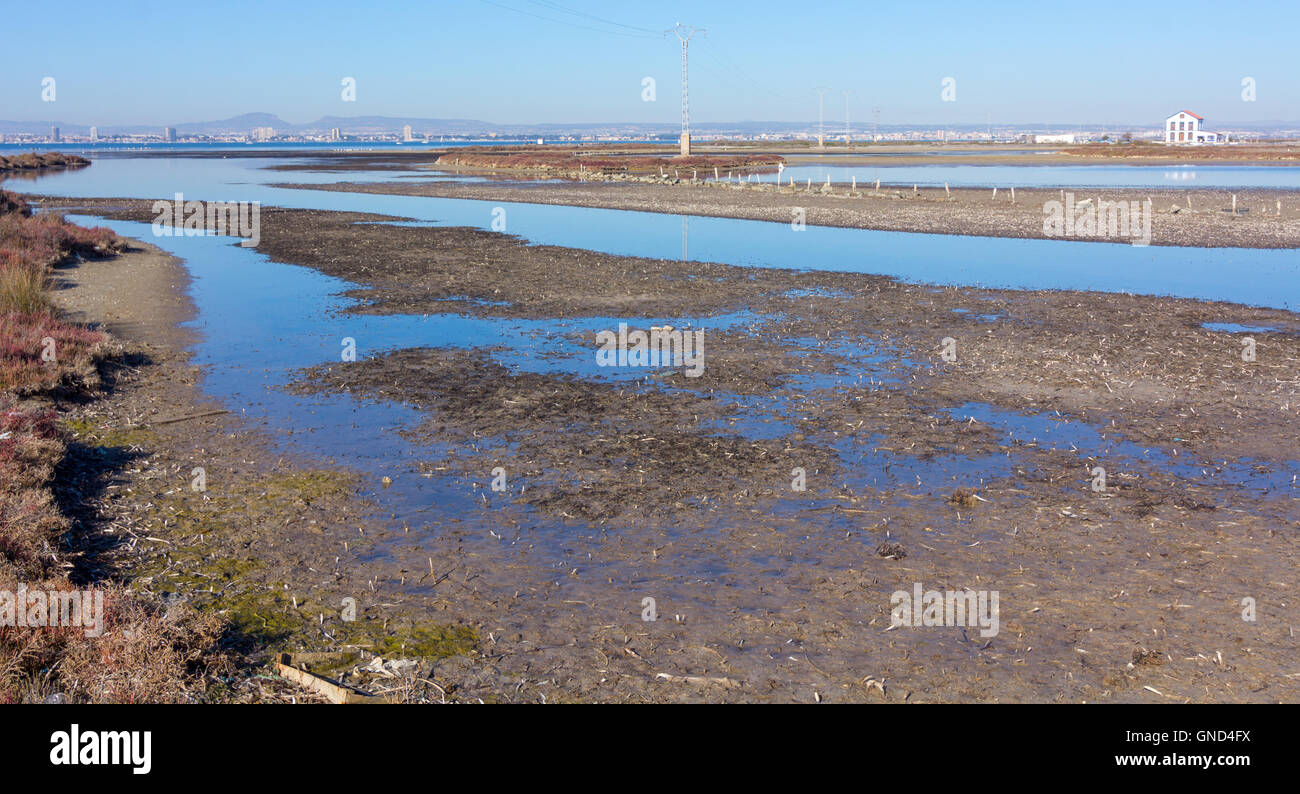 Red tide area hi-res stock photography and images - Alamy