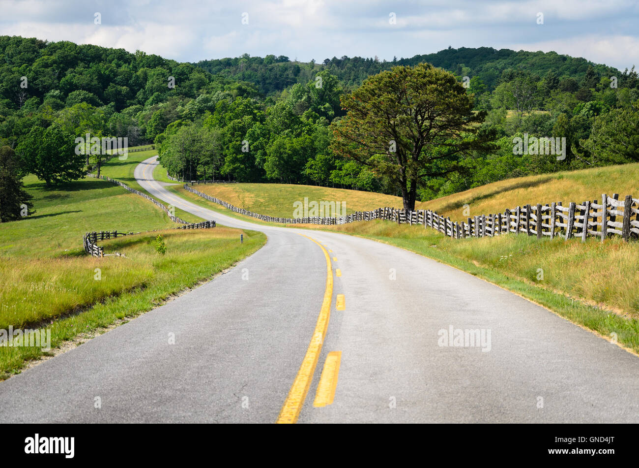 Appalachian blue ridge forest hi-res stock photography and images - Alamy