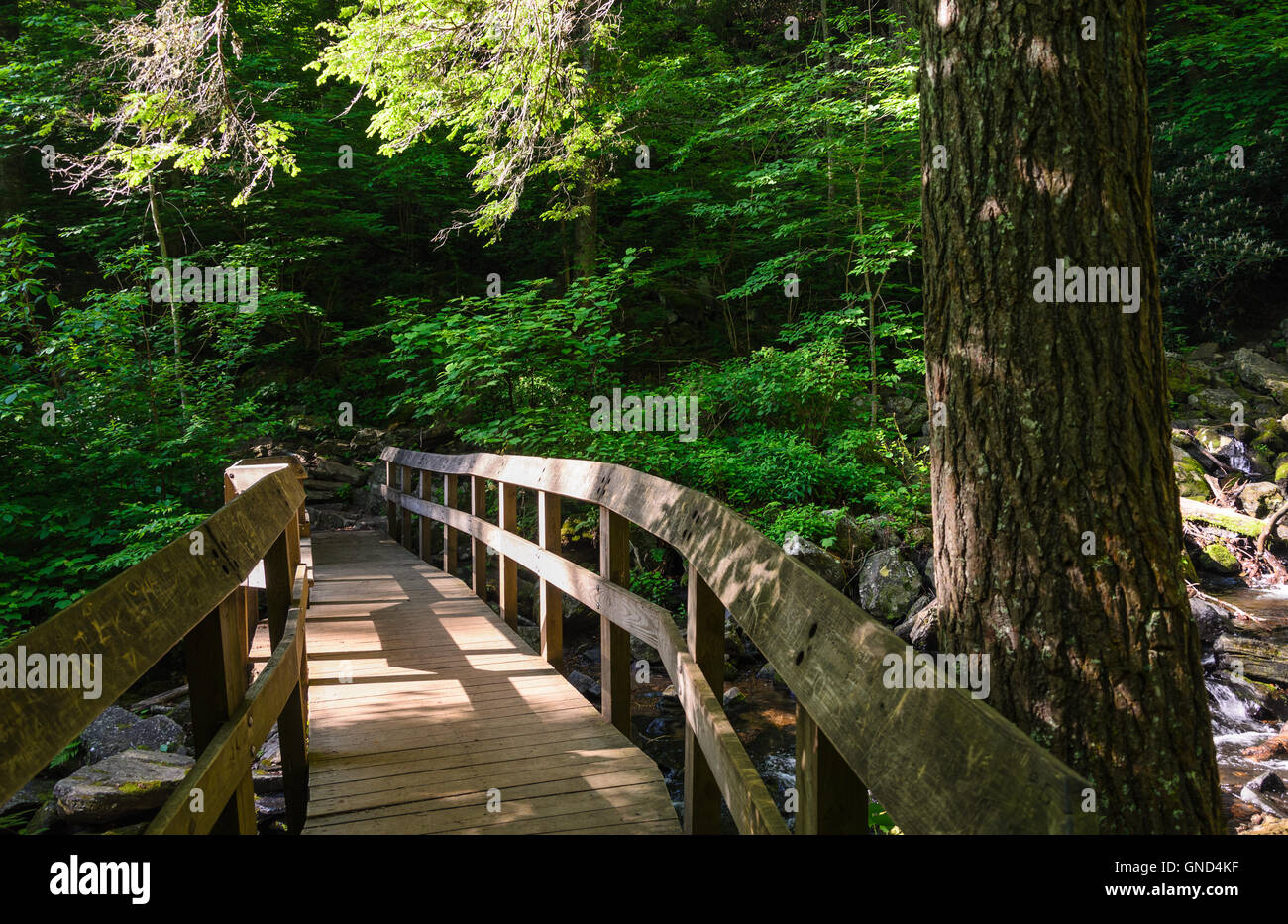Appalachian mountains blue ridge hi-res stock photography and images ...