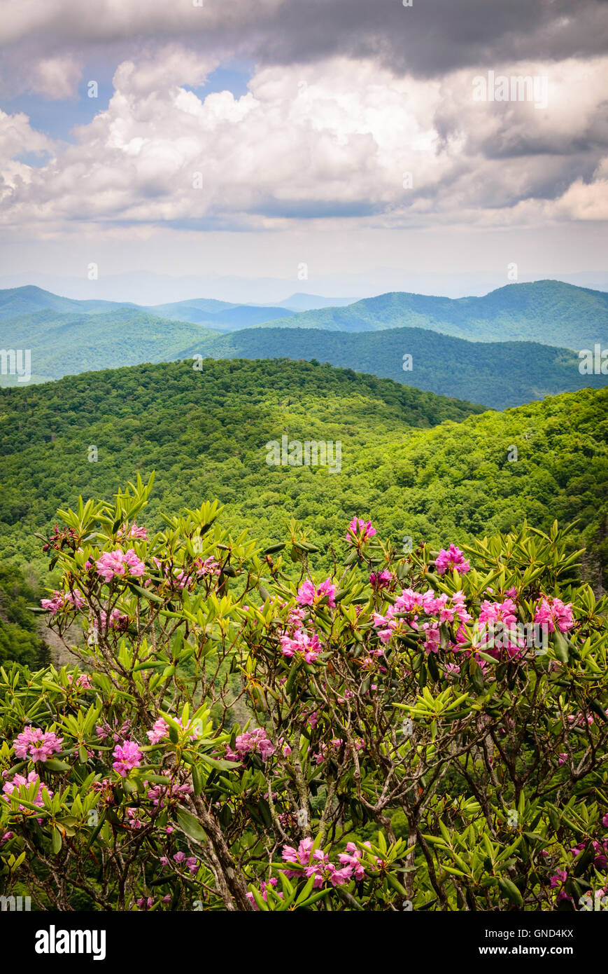 Blue ridge parkway hi-res stock photography and images - Alamy