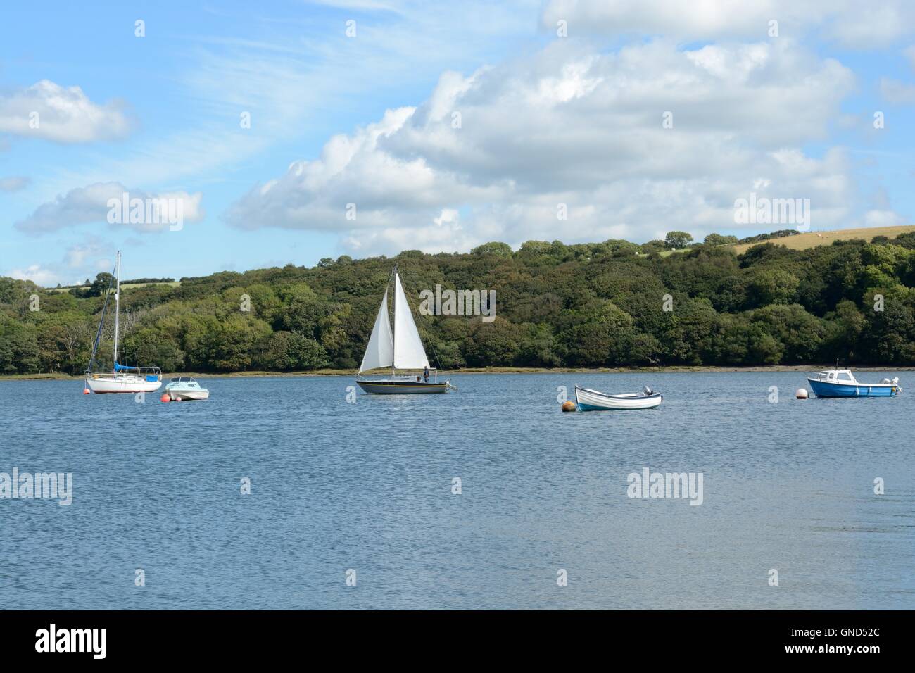 Cleddau estuary hi-res stock photography and images - Alamy