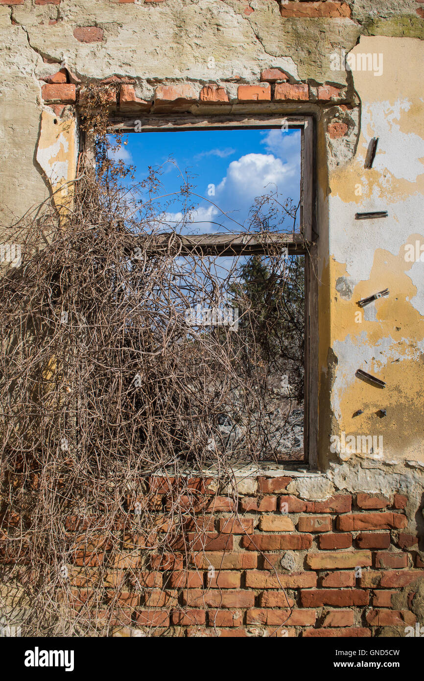 Frame of a former window in a very damaged wall with bricks visible ...