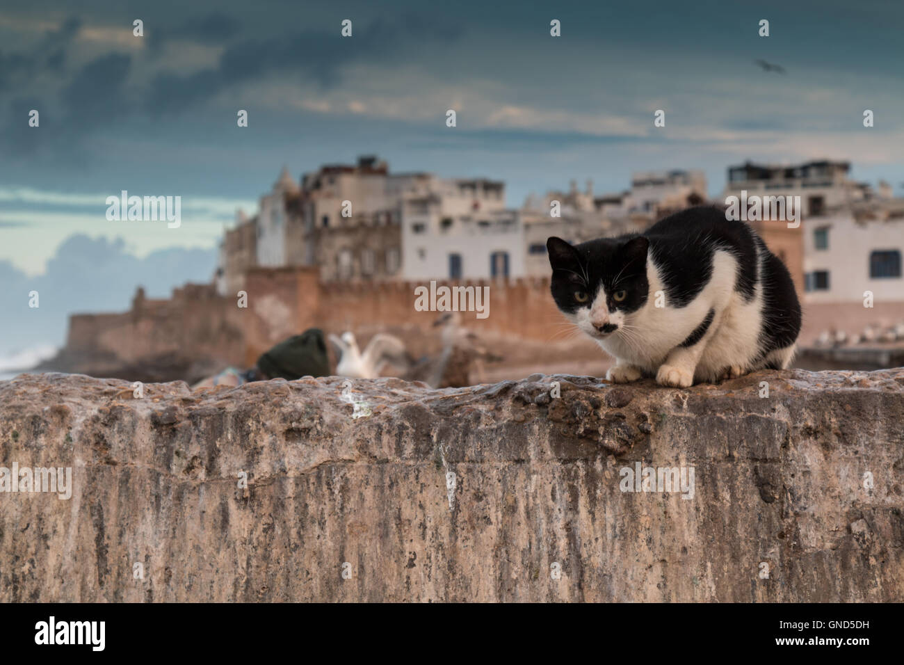 Atlantic cityline hi-res stock photography and images - Alamy