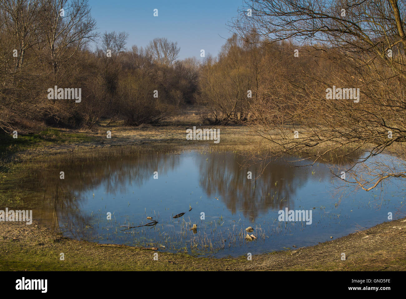 Round shape of a lake, reflecting blue sky in the late afternoon. Trees ...