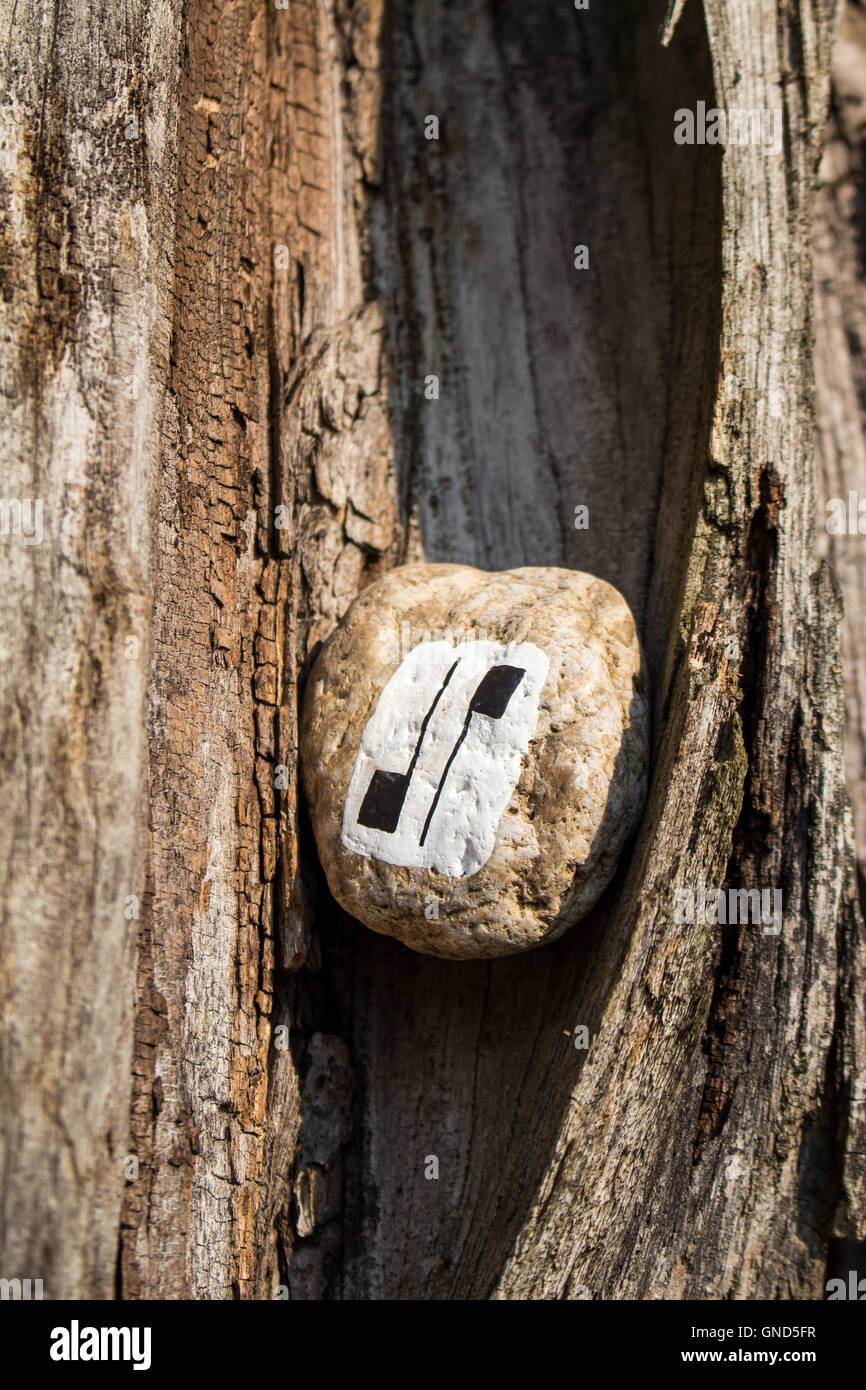 Hole in the old tree trunk. Inside a hole a stone painted with symbols ...