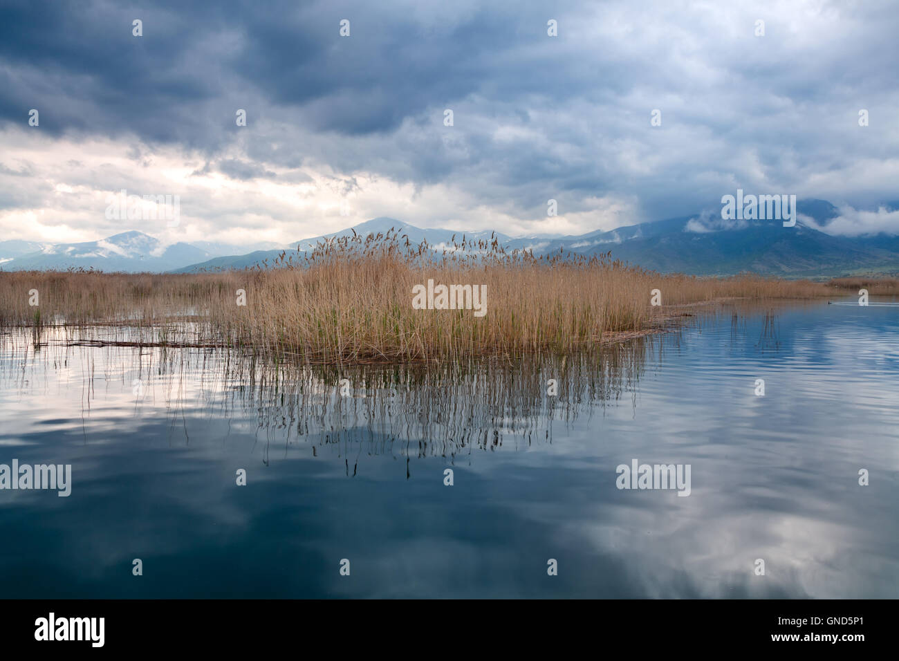 Small Prespa Lake natural scenery, Macedonia, Greece Stock Photo - Alamy