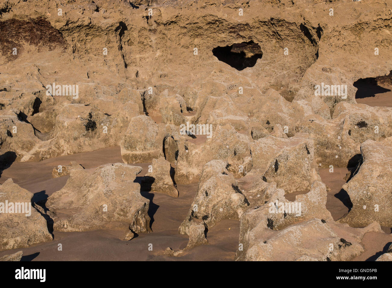 Rocks with sharp edges and holes on the beach of Atlantic Ocean in ...
